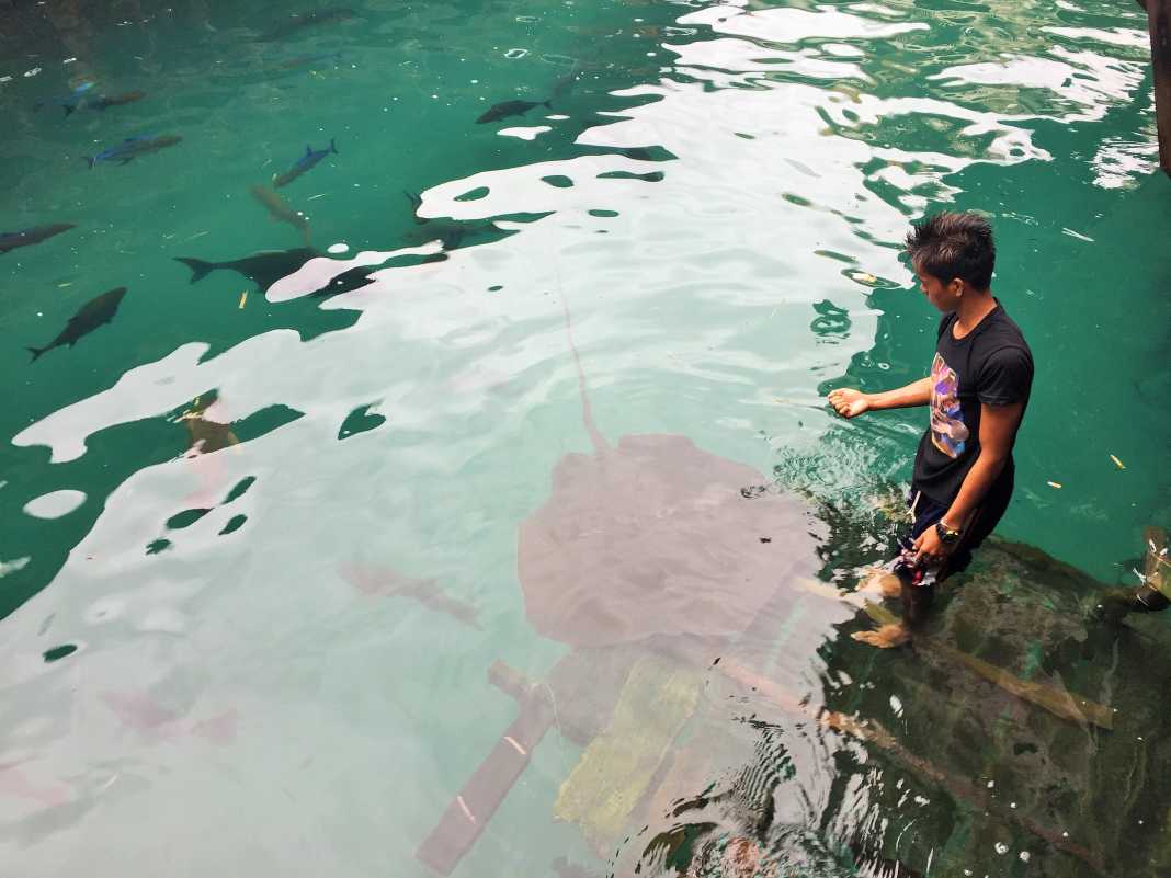 Enchanting Surigao Del Sur - Travel Blog & Lifestyle - The Wondering ...